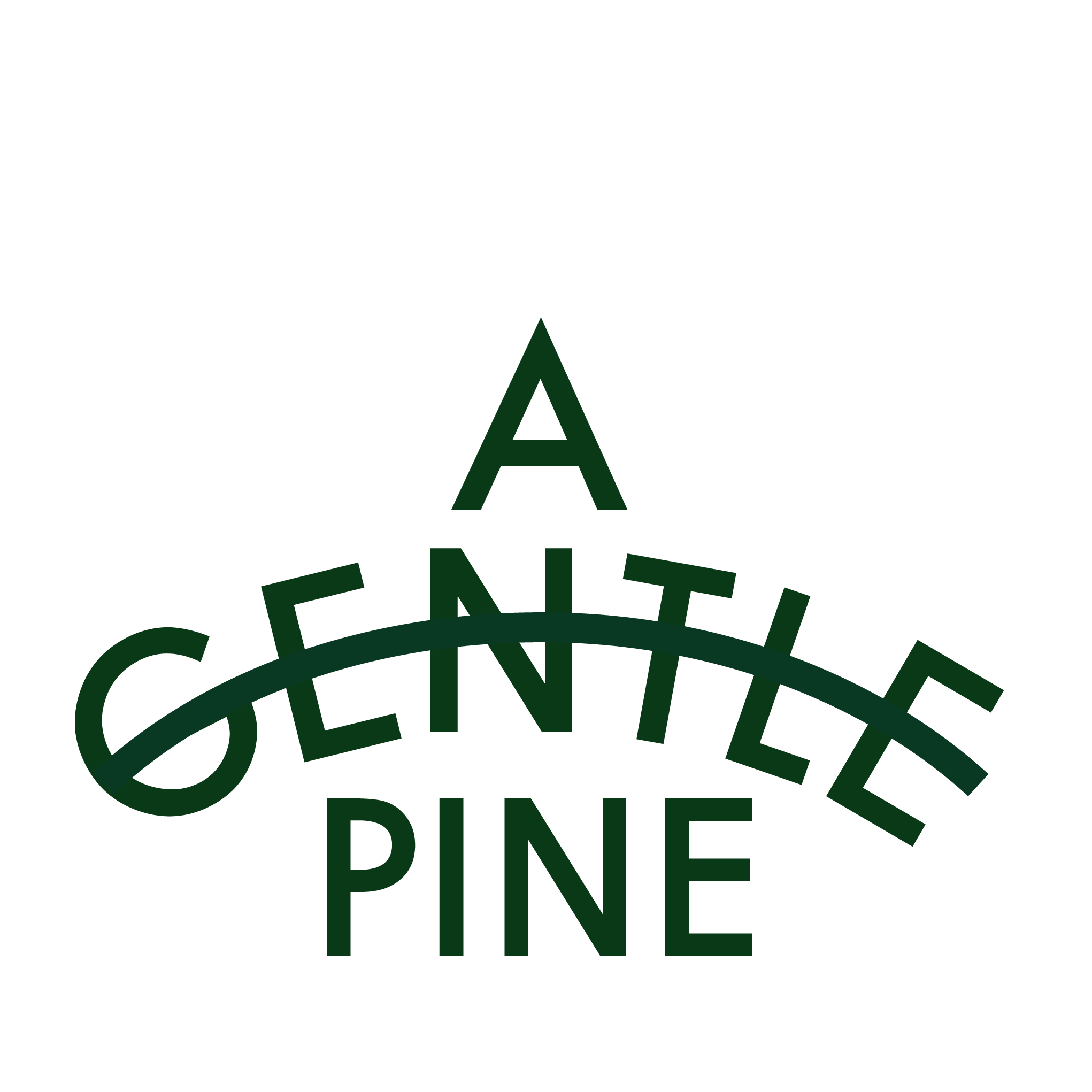 A GENTLE PINE | Your go to clothes.